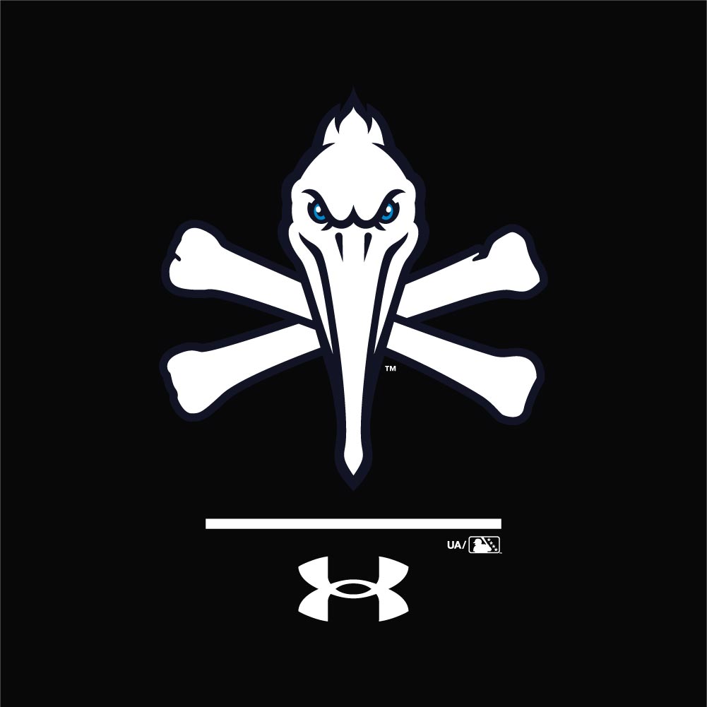 Myrtle Beach Pelicans Under Armour Black Pirate Tech Tee – Myrtle Beach ...